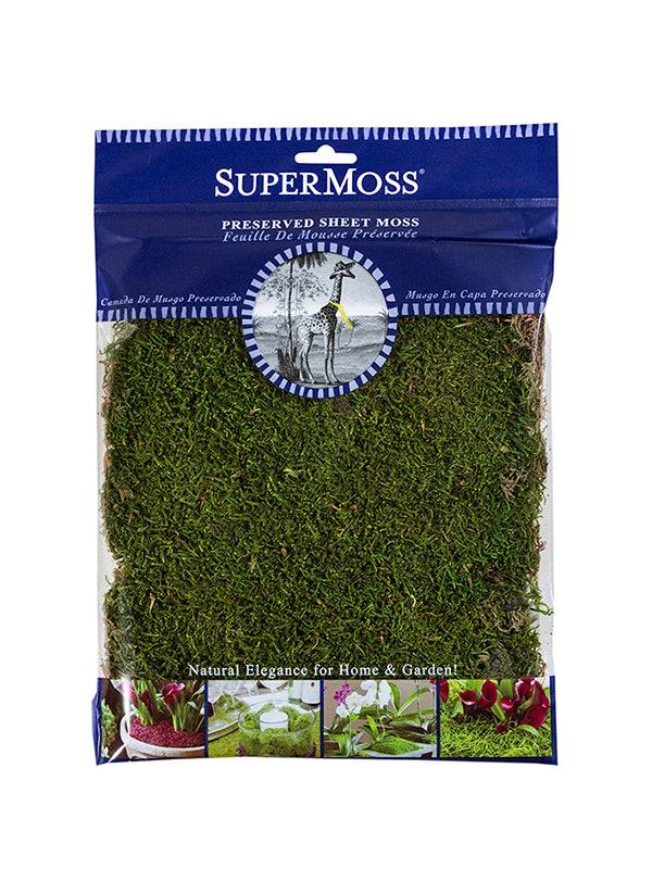 Super Moss Preserved Sheet Moss (110 cu in Bag) – The Florist Supply Shop