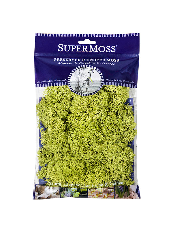 Super Moss Reindeer Moss Retail Bags (120 cu in Bag) – The Florist ...